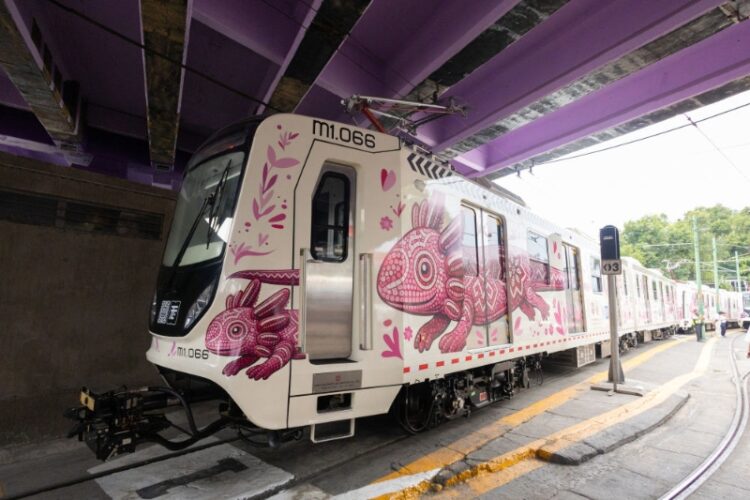 Chinese state-owned company will provide trains for 1.25 million ...